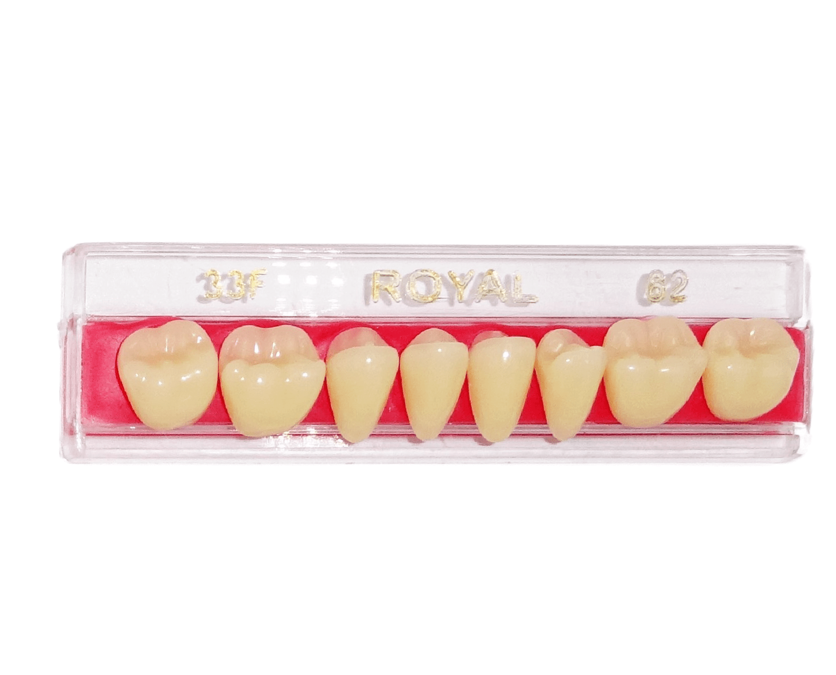 Royal – Acrylic Resin Teeth- Lower Posteriors – Exceed Dental